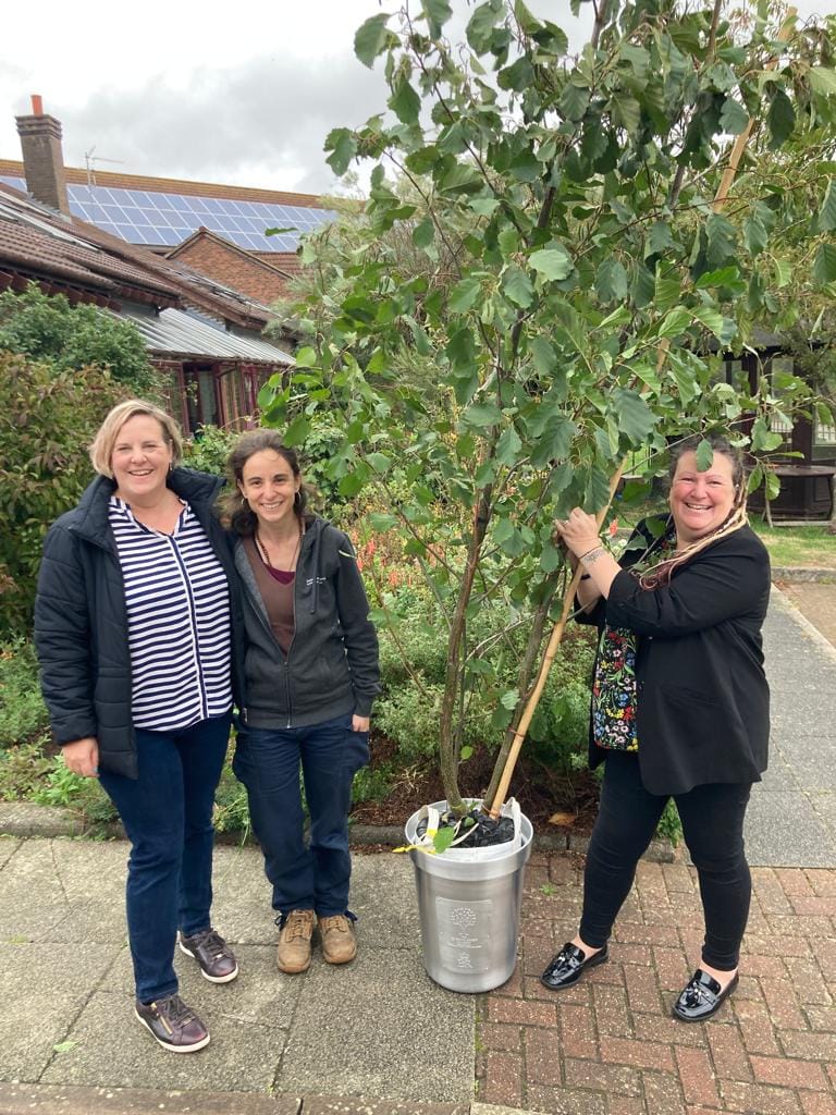 Tree Gifted from Her Majesty's Platinum Jubilee Celebrations | Camphill MK